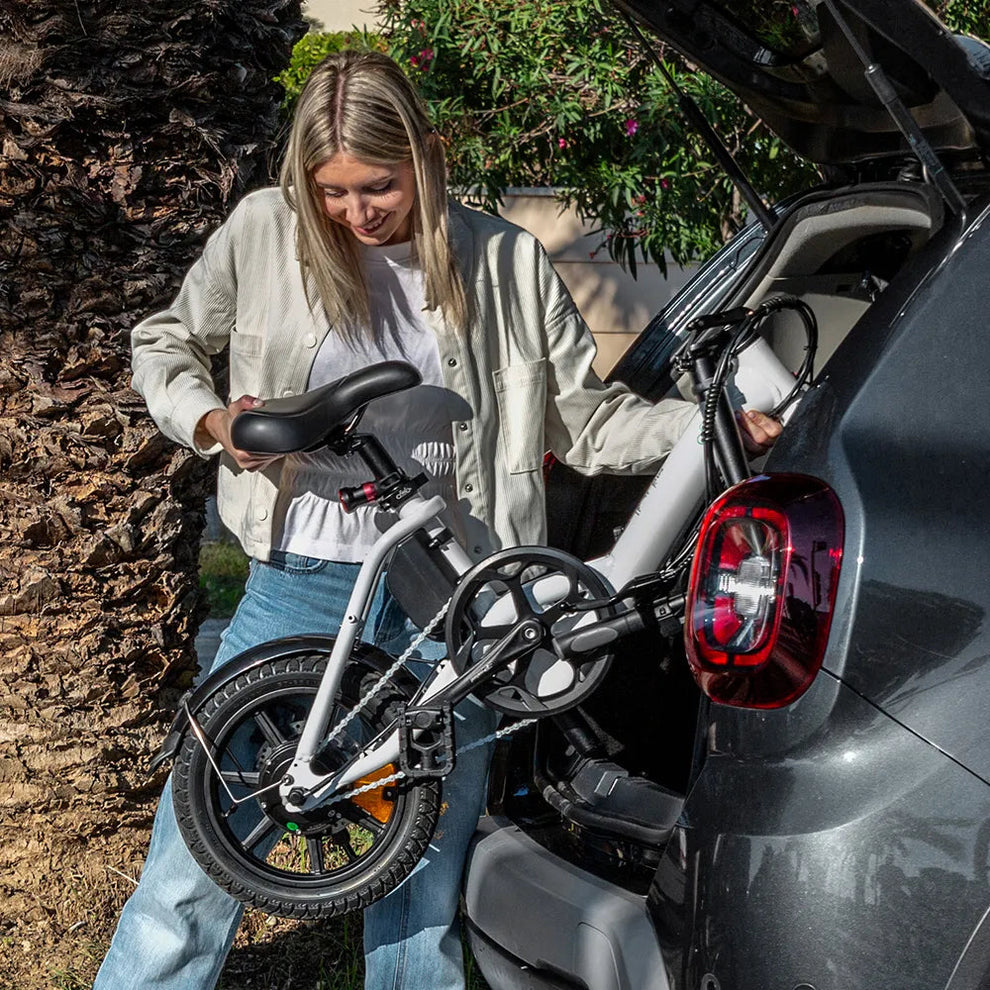 Fiido D3 Pro Mini Electric Bike – Rocket Ebikes