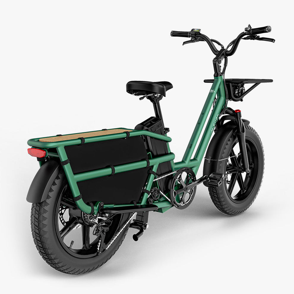 Fiido T2 Longtail Cargo E-bike - Pre Order – Rocket Ebikes